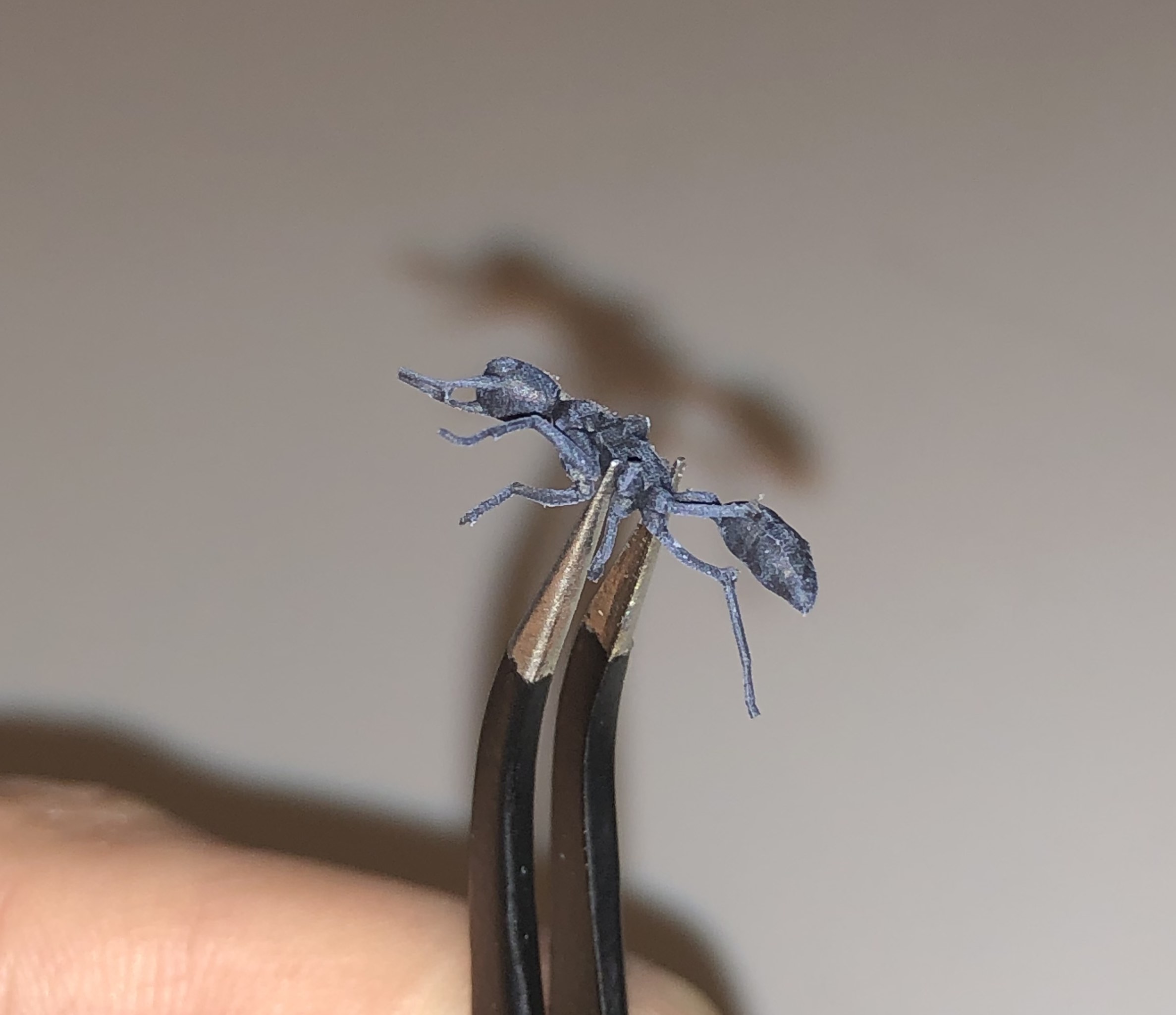 Biomimetic 3D Printed Ants | Iain Zwiebel